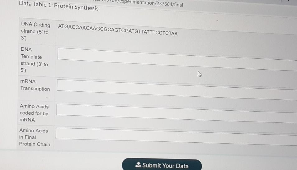 Solved Data Table 1: Protein Synthesis | Chegg.com