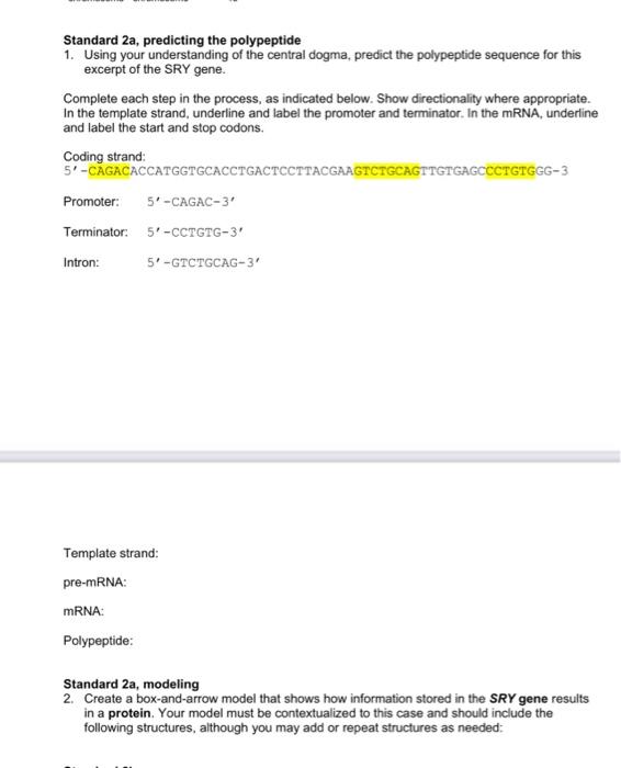 Solved Standard 2a, predicting the polypeptide 1. Using your | Chegg.com