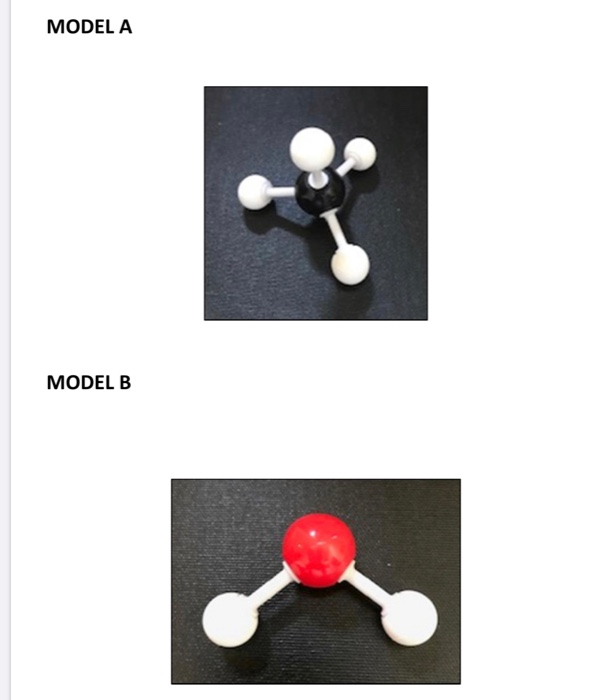 Solved Name Molecular Modelling Lab Worksheet Model Picture | Chegg.com