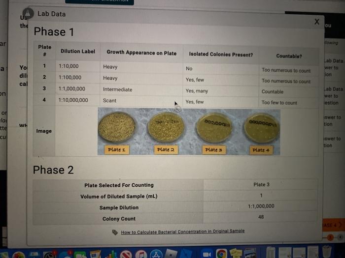 Solved SIMULATION Using the count data and observational | Chegg.com