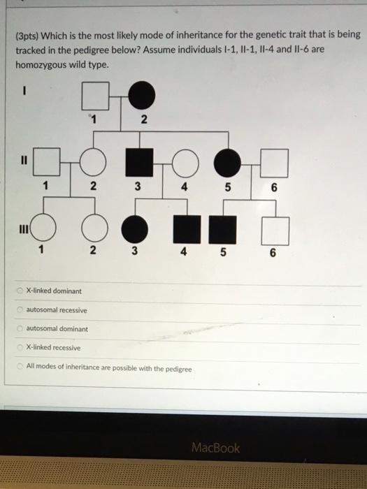 Solved (3pts) Which is the most likely mode of inheritance | Chegg.com