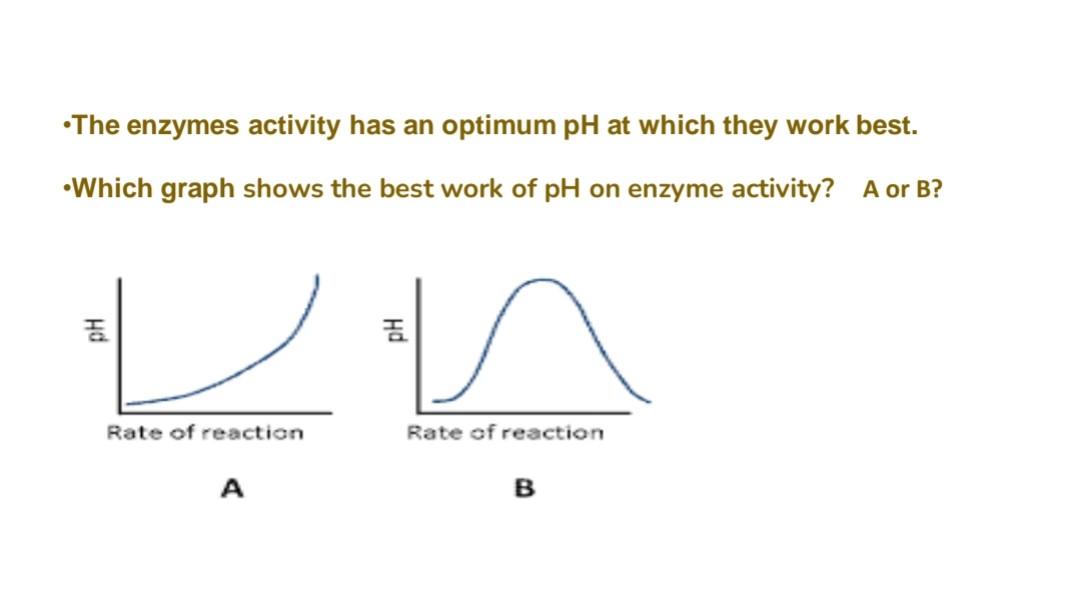 Solved - The enzymes activity has an optimum pH at which | Chegg.com