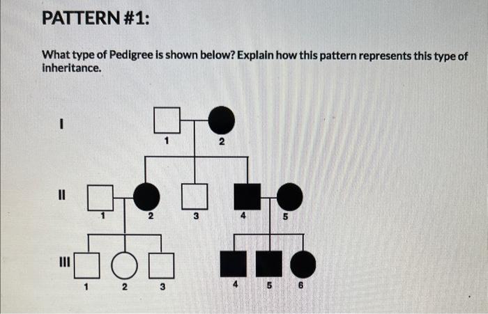 What type of Pedigree is shown below? Explain how | Chegg.com