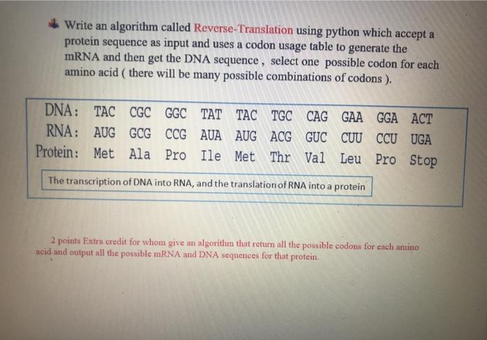 Dna Codon Table Python | Cabinets Matttroy