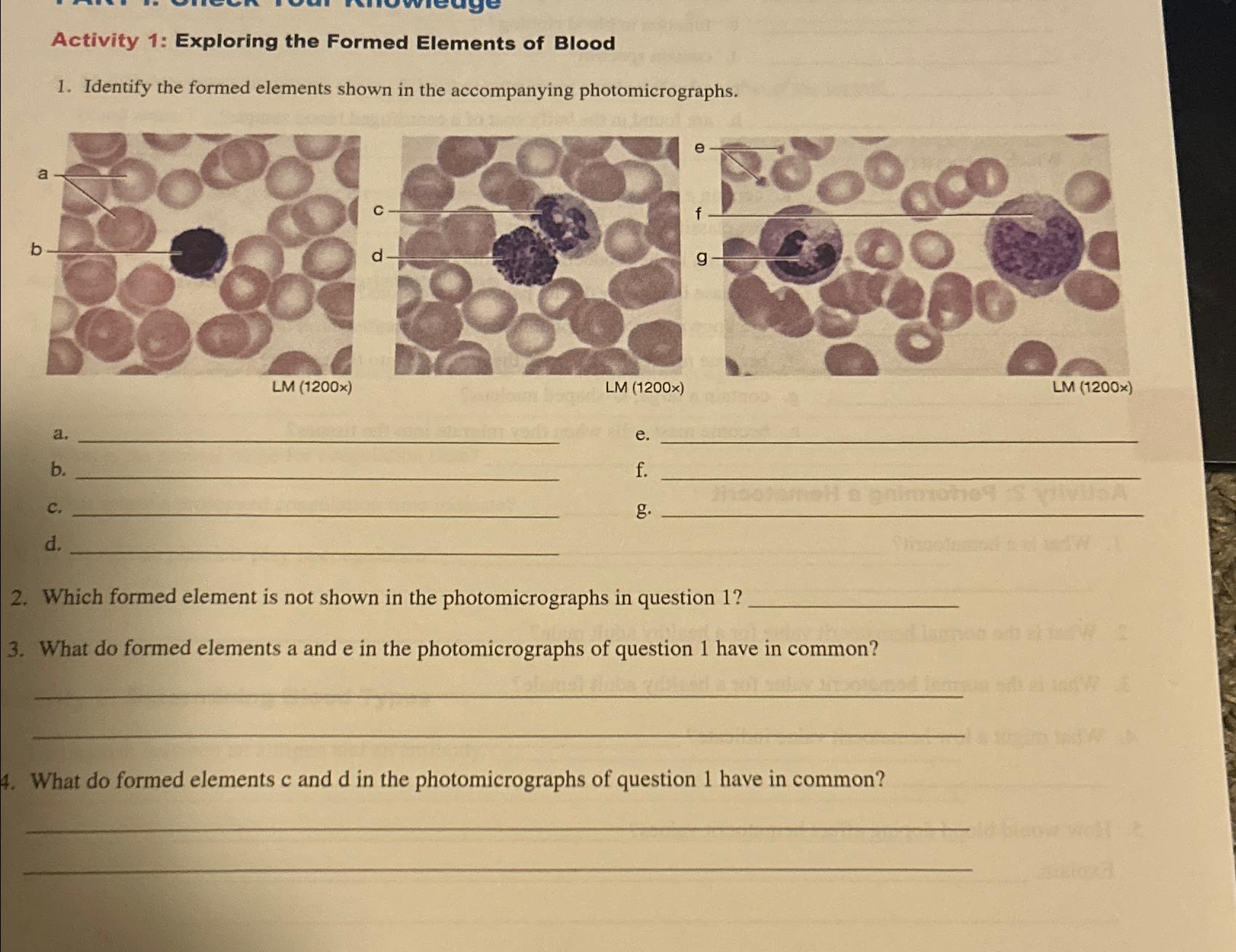 Solved Activity 1: Exploring the Formed Elements of | Chegg.com