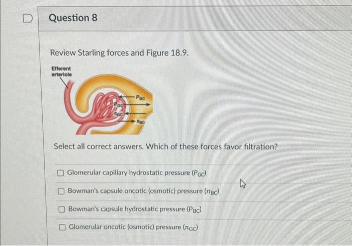 Solved Review Starling forces and Figure 18.9. Select all | Chegg.com