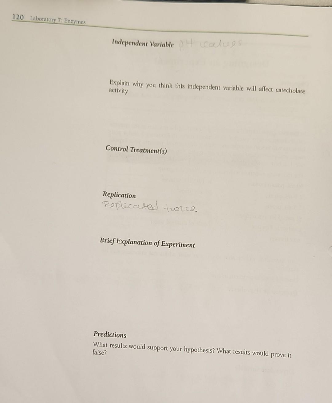 Solved 120 Laboratory 7: Enzymes Independent Variable | Chegg.com