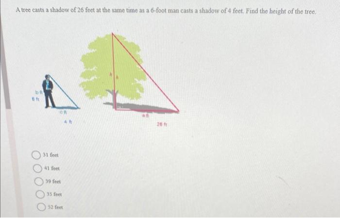 Solved A tree casts a shadow of 26 feet at the same time as | Chegg.com