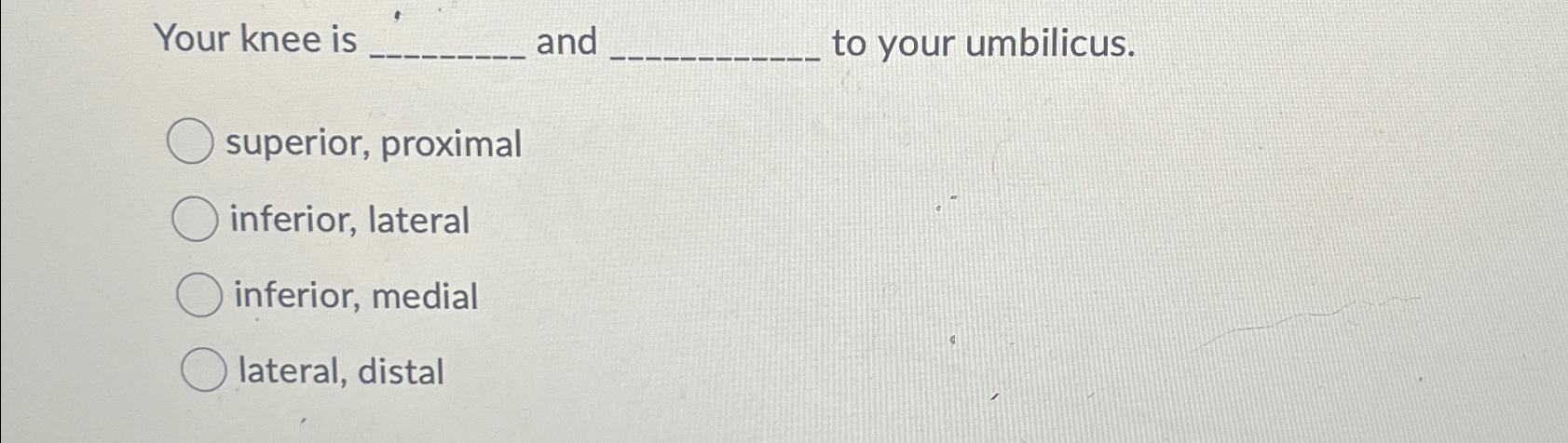 Solved Your knee is and to your umbilicus.superior, | Chegg.com