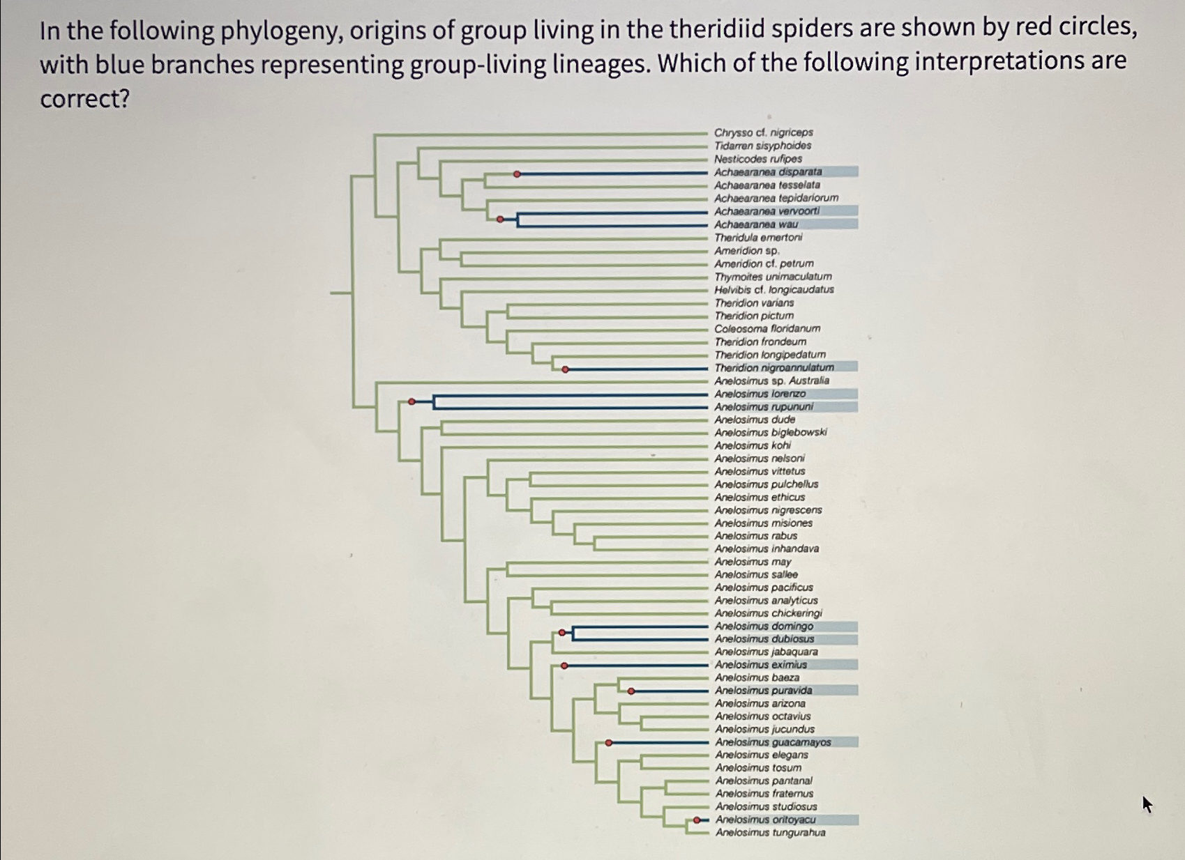 Solved In the following phylogeny, origins of group living | Chegg.com