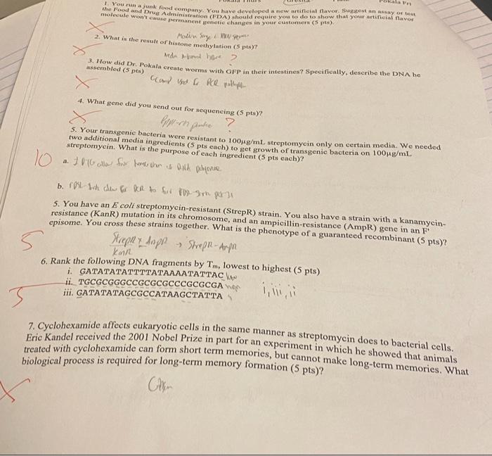 Solved Can someone please solve the following questions | Chegg.com