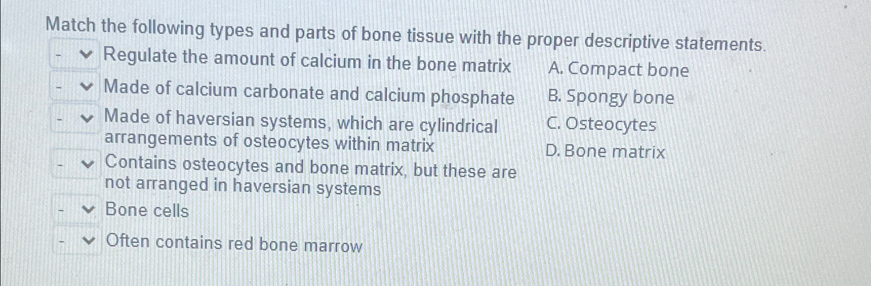 Solved Match the following types and parts of bone tissue | Chegg.com