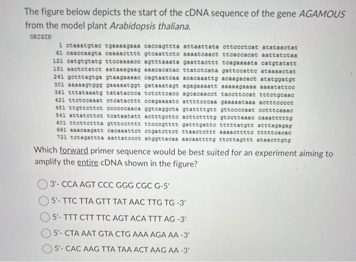 Solved The figure below depicts the start of the cDNA | Chegg.com