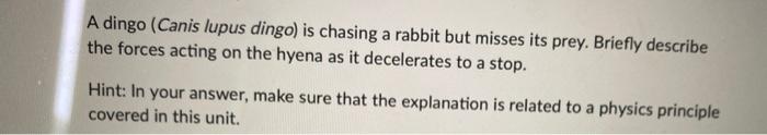 Solved A dingo (Canis lupus dingo) is chasing a rabbit but | Chegg.com