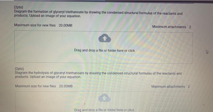 Solved (2pts) Diagram the formation of glyceryl triethanoate | Chegg.com