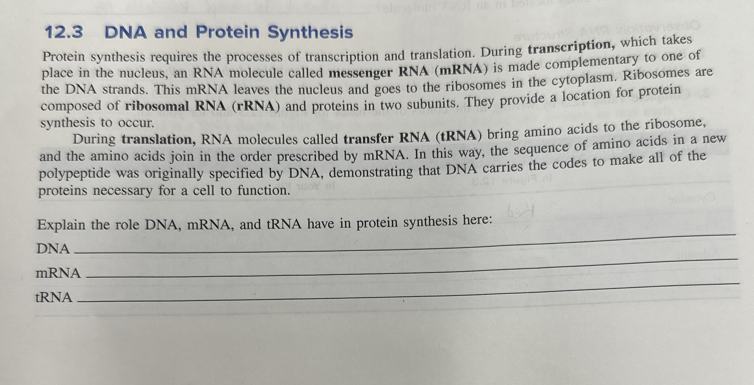 High Quality SOLUTION 12.3 ﻿DNA and Protein SynthesisProtein synthesis | Chegg.com