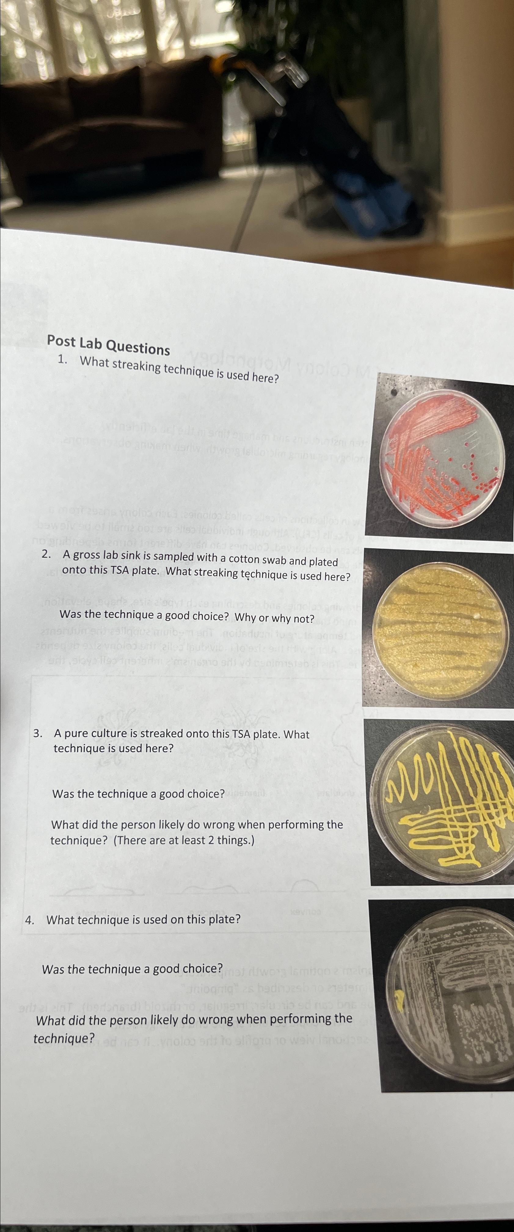 Solved Post Lab QuestionsWhat streaking technique is used | Chegg.com