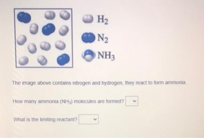 Solved H2 N2 NH3 The image above contains nitrogen and | Chegg.com