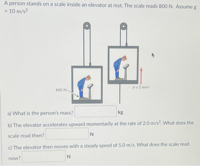 Solved A person stands on a scale inside an elevator at | Chegg.com