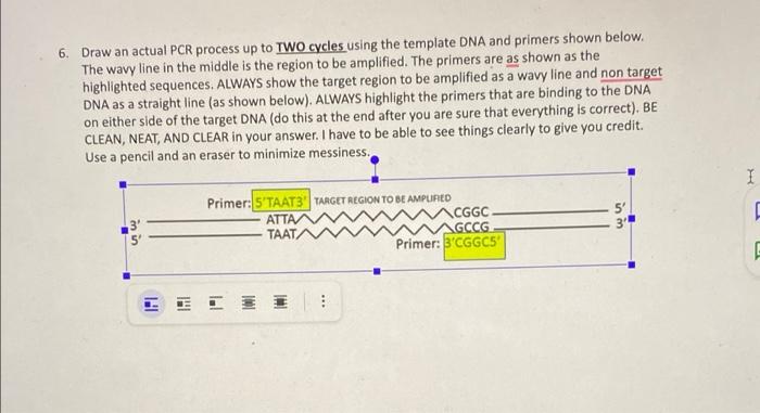Solved 6. Draw an actual PCR process up to TWO cycles using | Chegg.com