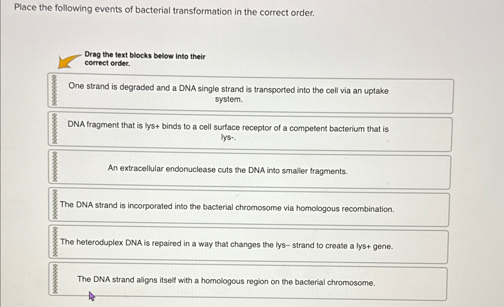 Solved Place the following events of bacterial | Chegg.com