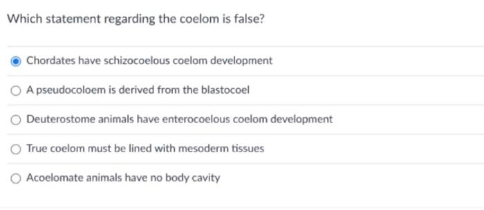 Solved Which statement regarding the coelom is false? | Chegg.com