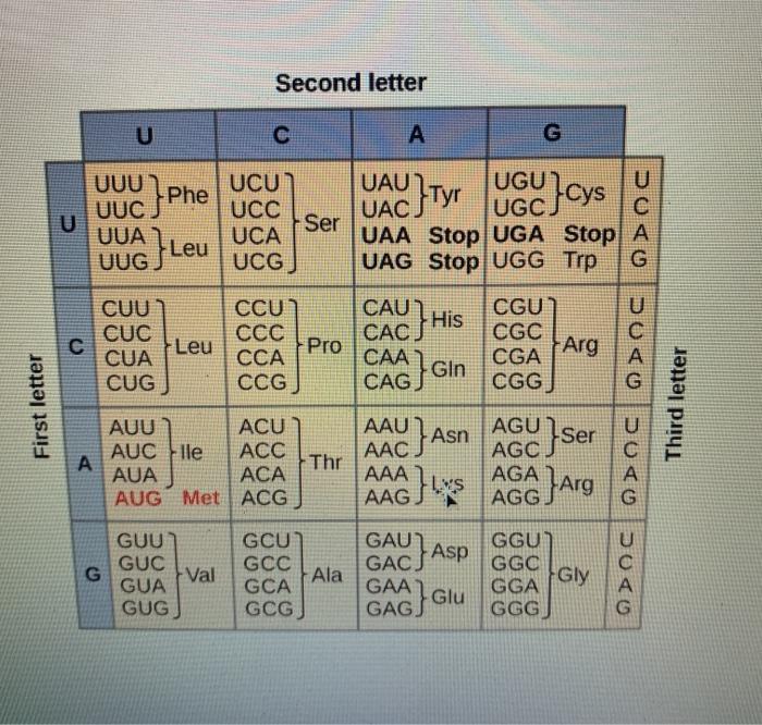 Solved 2. The following DNA sequence includes the end of the | Chegg.com