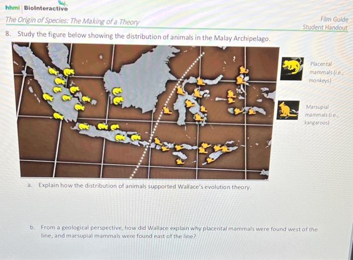Solved hhmi Biolnteractive The Origin of Species: The Making | Chegg.com