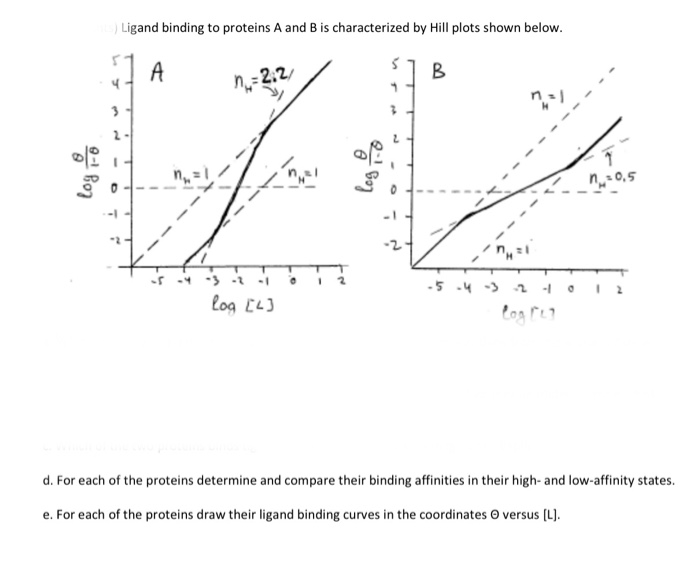 Solved Ligand binding to proteins A and B is characterized | Chegg.com