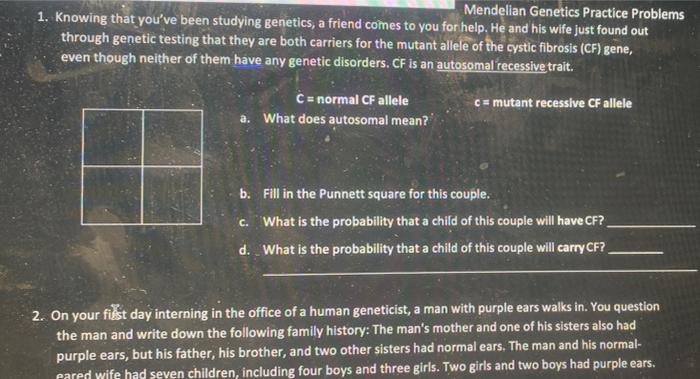 Solved Mendelian Genetics Practice Problems 1. Knowing that | Chegg.com