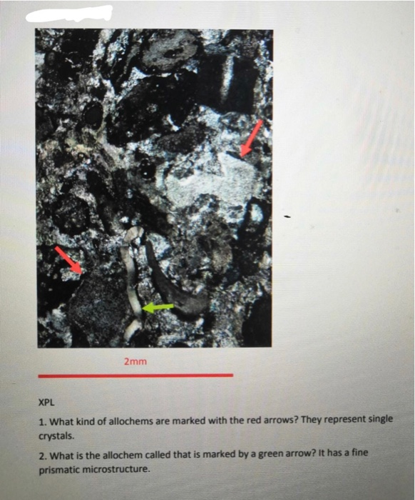 Solved 2mm XPL 1. What kind of allochems are marked with the | Chegg.com