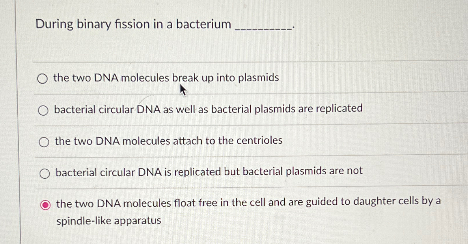 Solved During binary fission in a bacteriumthe two DNA | Chegg.com