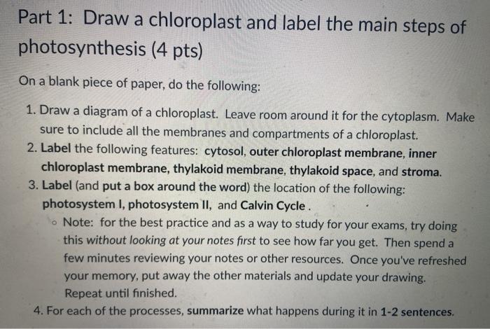 Solved Part 1: Draw a chloroplast and label the main steps | Chegg.com