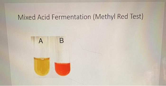 Solved Use the PowerPoint pictures of your results to decide | Chegg.com