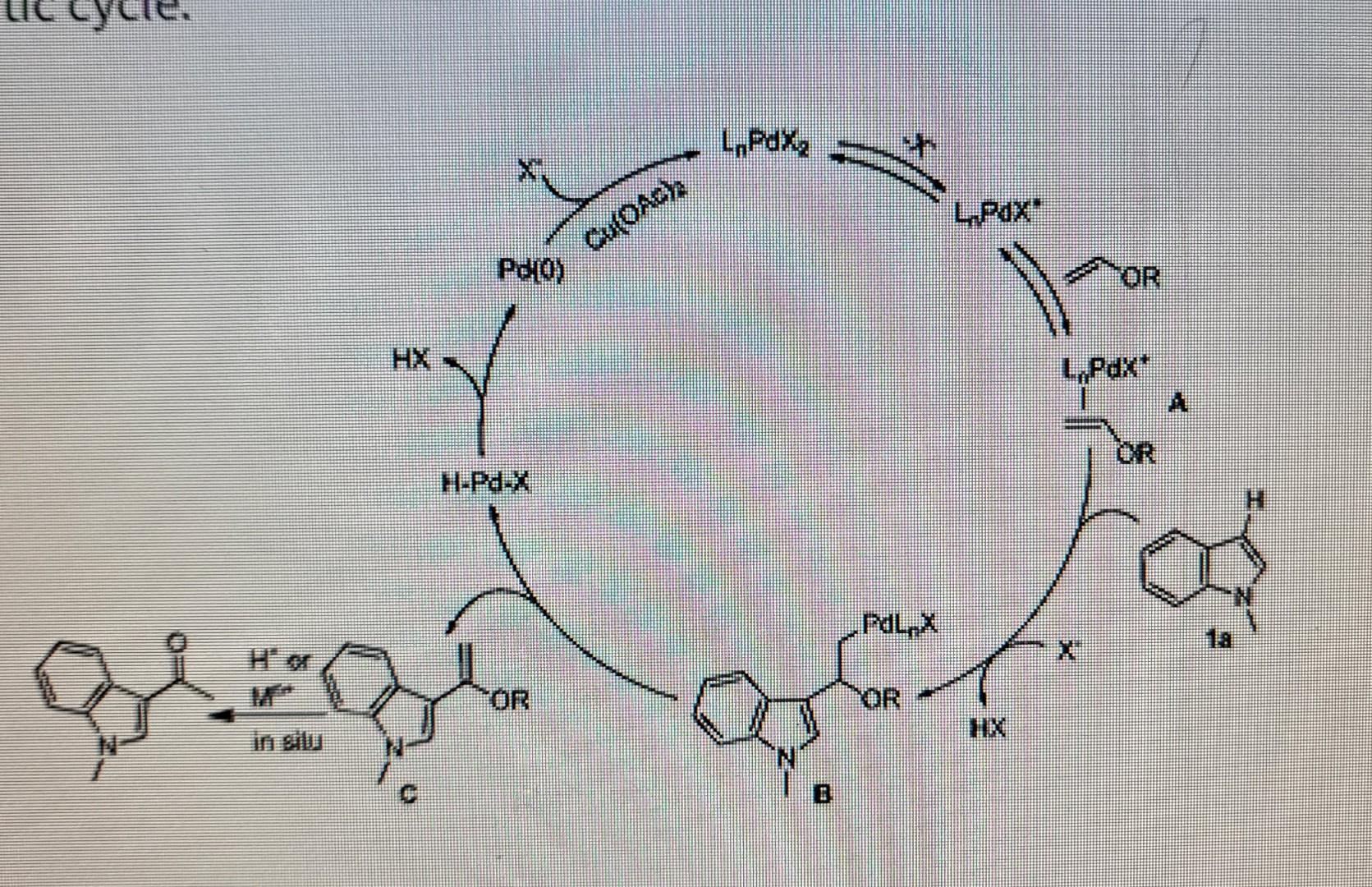 Solved Is this reaction use Heck reaction mechanism like | Chegg.com