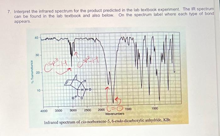 Solved 7. Interpret the infrared spectrum for the product | Chegg.com