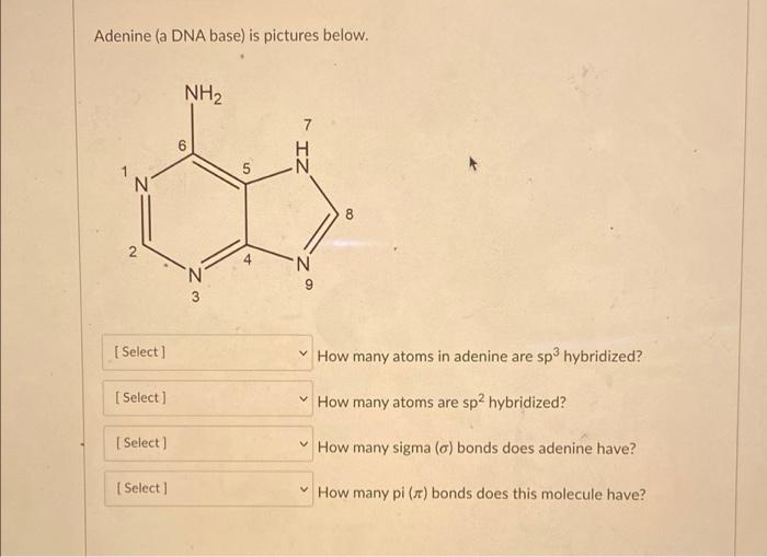 Solved Adenine (a DNA base) is pictures below. NH2 6 7 H 5 | Chegg.com