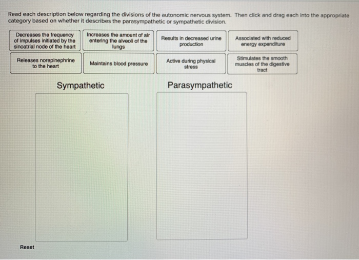 Solved Read each description below regarding the divisions | Chegg.com