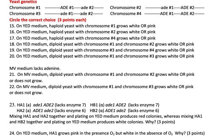 Solved Chromosome #1 Chromosome #2 ADE #1-1-ade #2- | Chegg.com