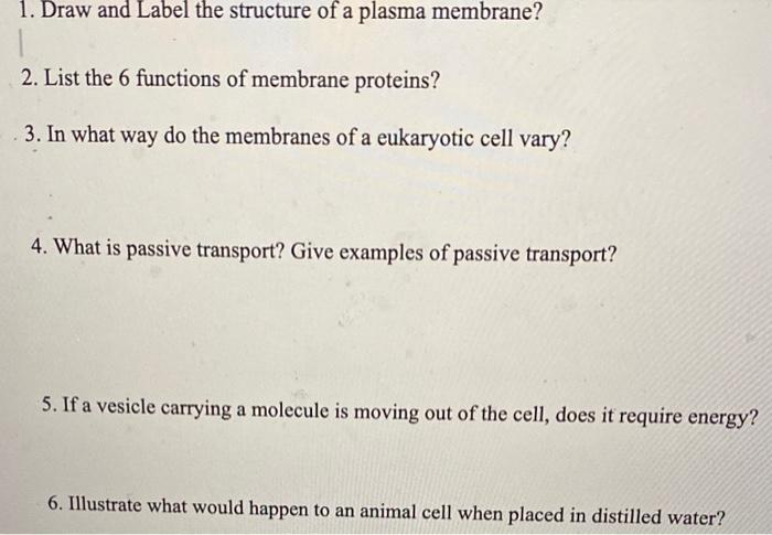 Solved 1. Draw and Label the structure of a plasma membrane? | Chegg.com