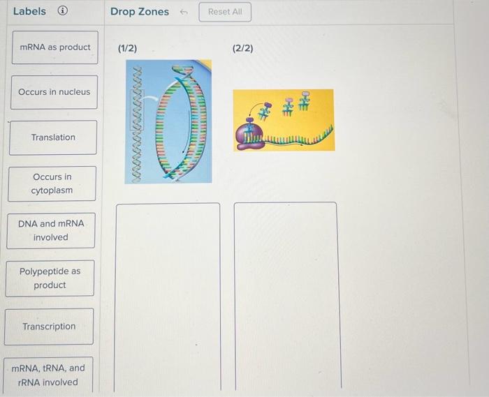 Solved Notice the images shown as the headings of each | Chegg.com
