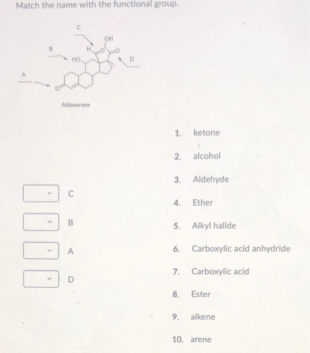 Solved Match the name with the functional group. OH HO | Chegg.com
