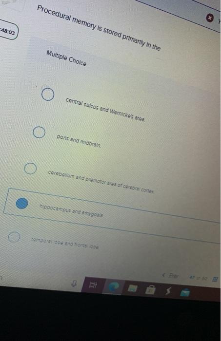 Solved Procedural memory is stored primarily in the -48:03 | Chegg.com