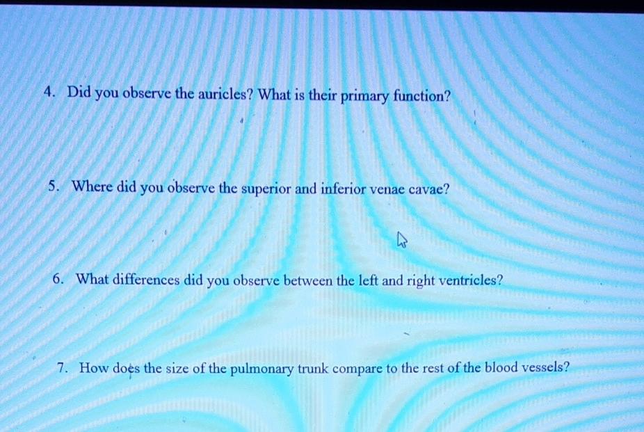 Solved Did you observe the auricles? What is their primary | Chegg.com
