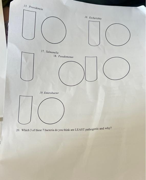 Solved Problems 13-19. Use this flow chart to draw TSI slant | Chegg.com