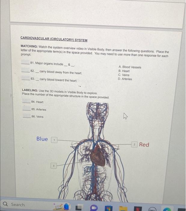 MATCHING: Watch the system overview video in Visible | Chegg.com