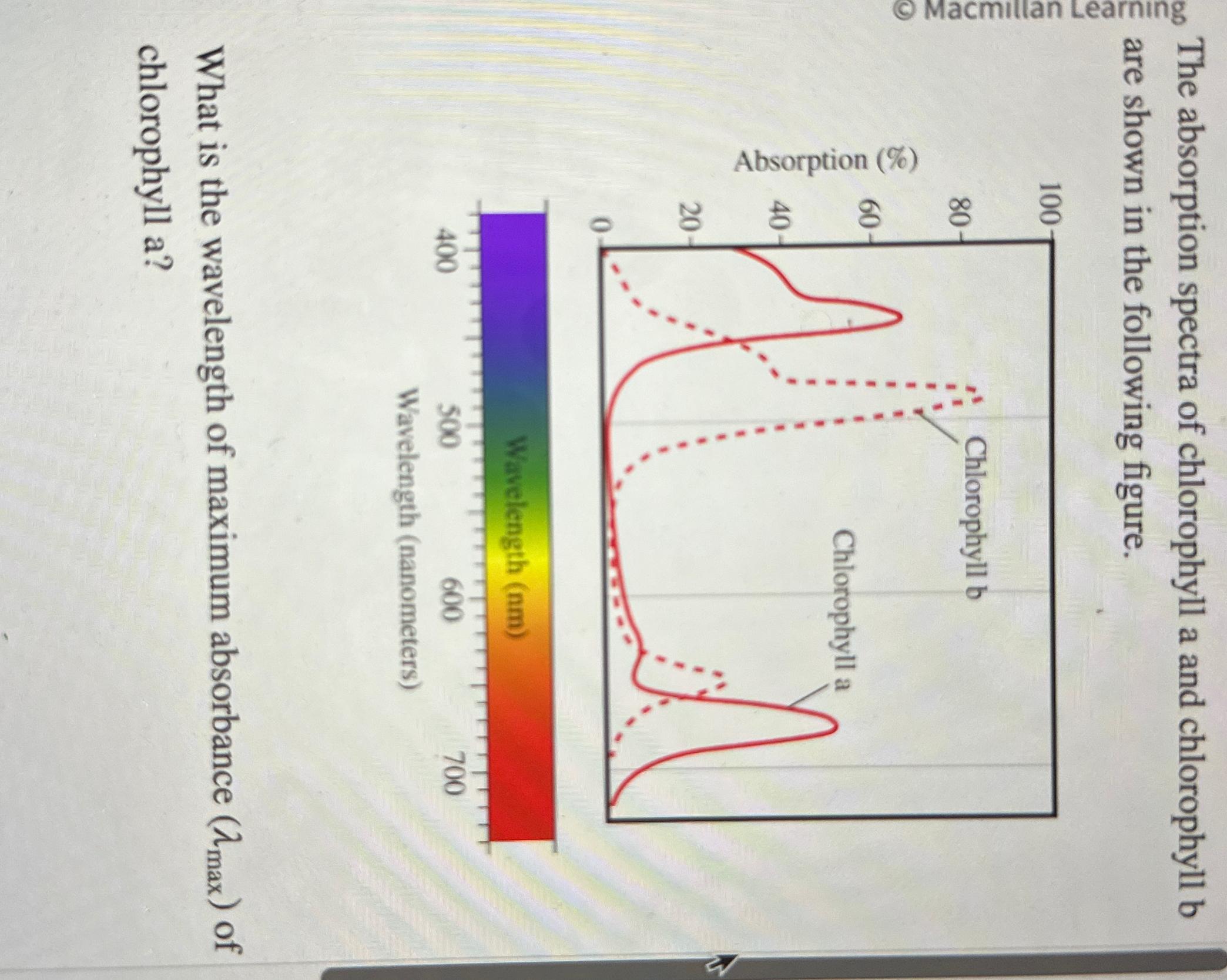 Solved The absorption spectra of chlorophyll a and | Chegg.com