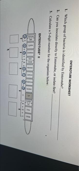 Solved ENTEROTUBE WORKSHEET 1. Which group of bacteria is | Chegg.com