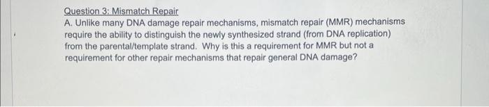 Solved please and thanks! Question 1: DNA Replication Errors | Chegg.com