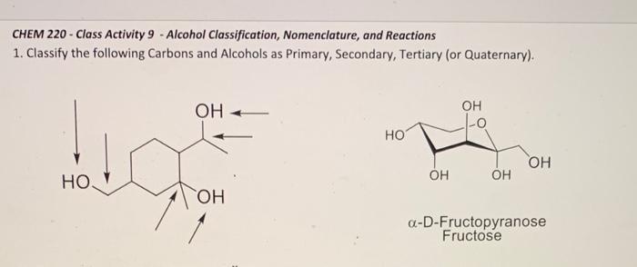 Solved CHEM 220 - Class Activity 9 - Alcohol Classification, | Chegg.com